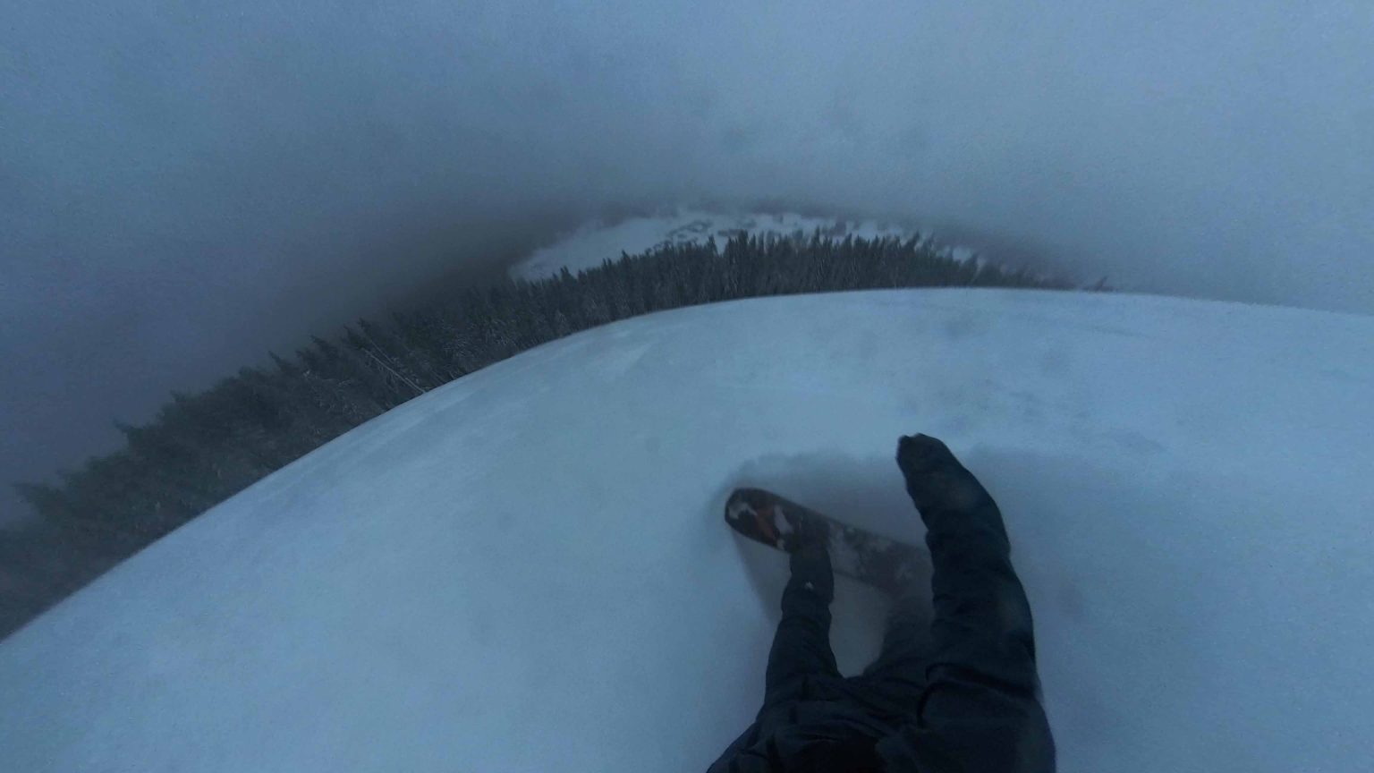 Arbor Satori Camber Men's 2023-2024 Snowboard Review