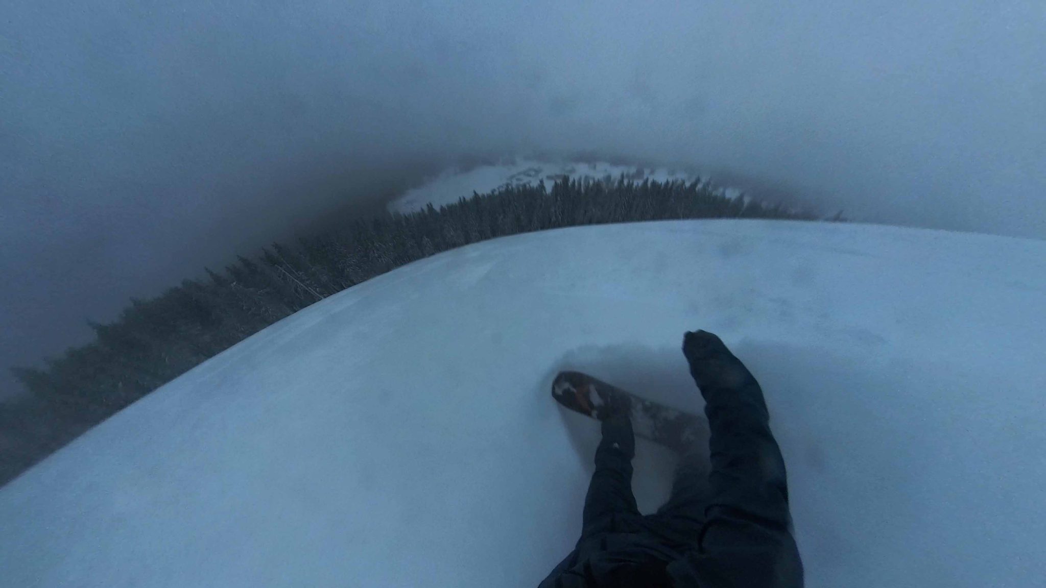 Arbor Satori Camber Men's 2023-2024 Snowboard Review