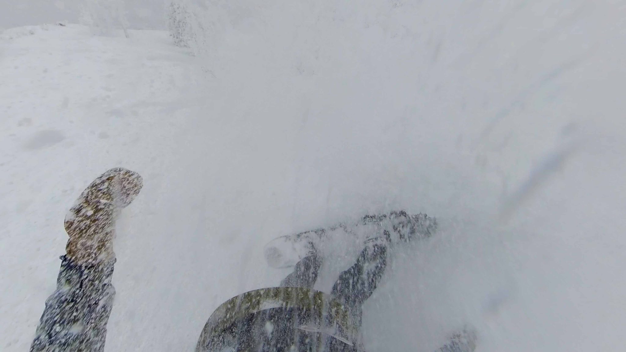 Arbor Satori Camber Men's 2023-2024 Snowboard Review