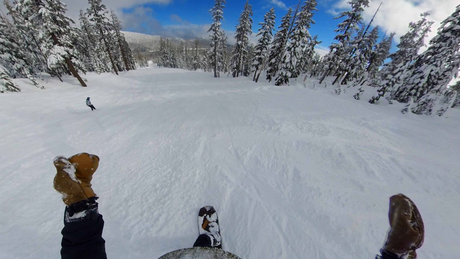 Arbor Satori Camber Men's 2023-2024 Snowboard Review