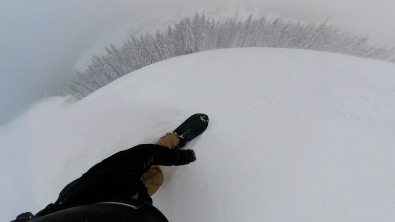 Burton 3D Fish 2021-2024 Snowboard Review (with video)