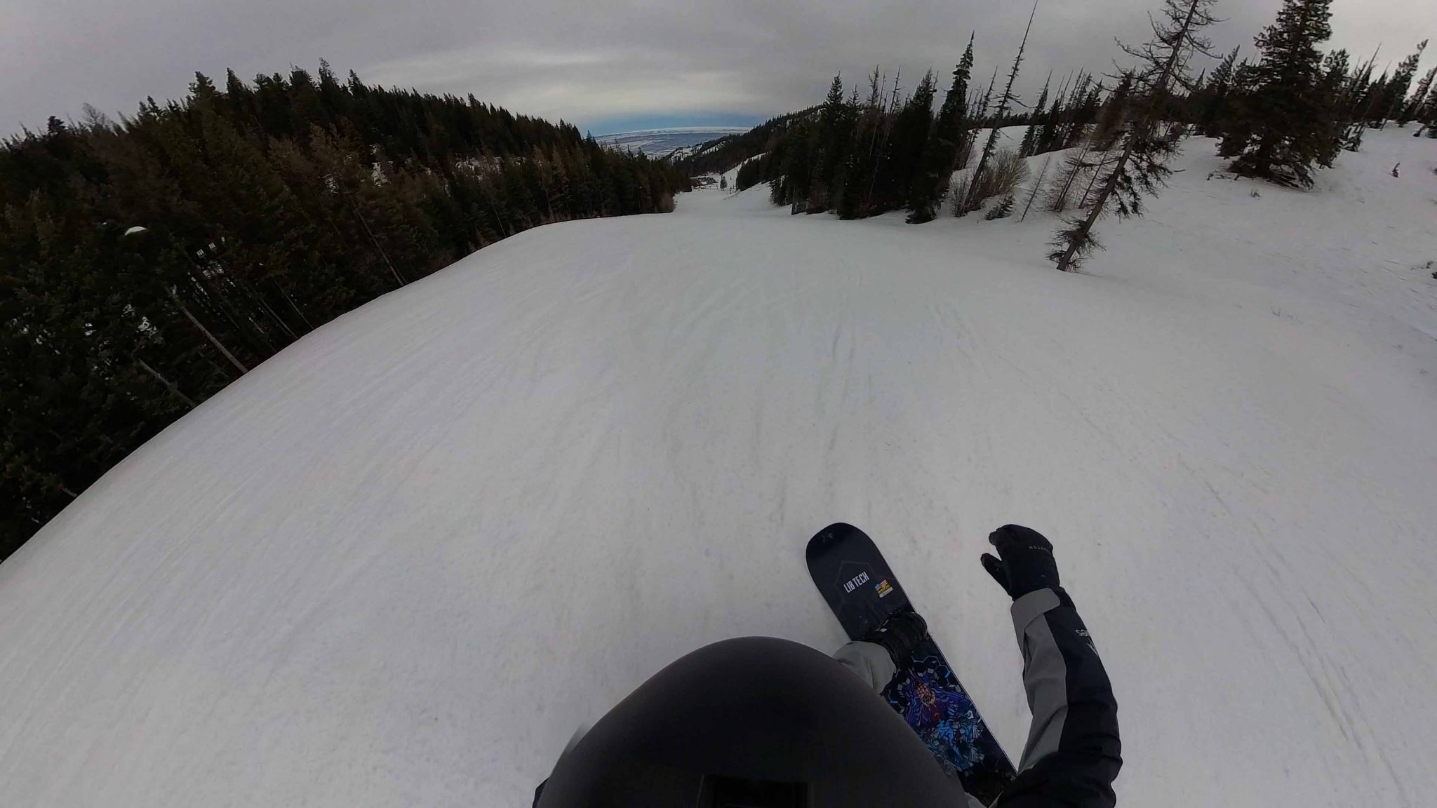 Lib Tech Terrain Wrecker 2018-2026 Snowbard Review