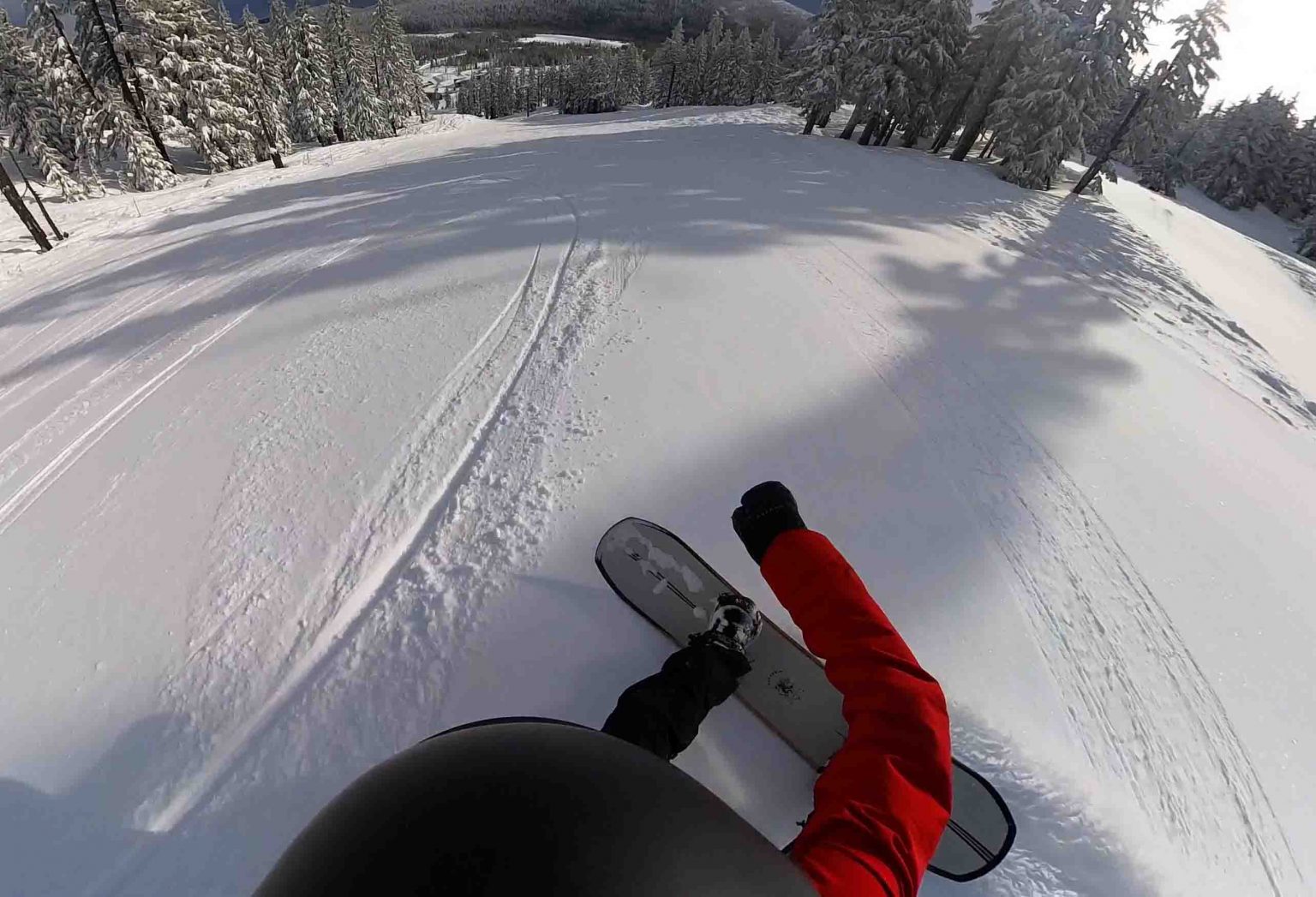 Salomon Assassin 2014-2025 Snowboard Review (with video)