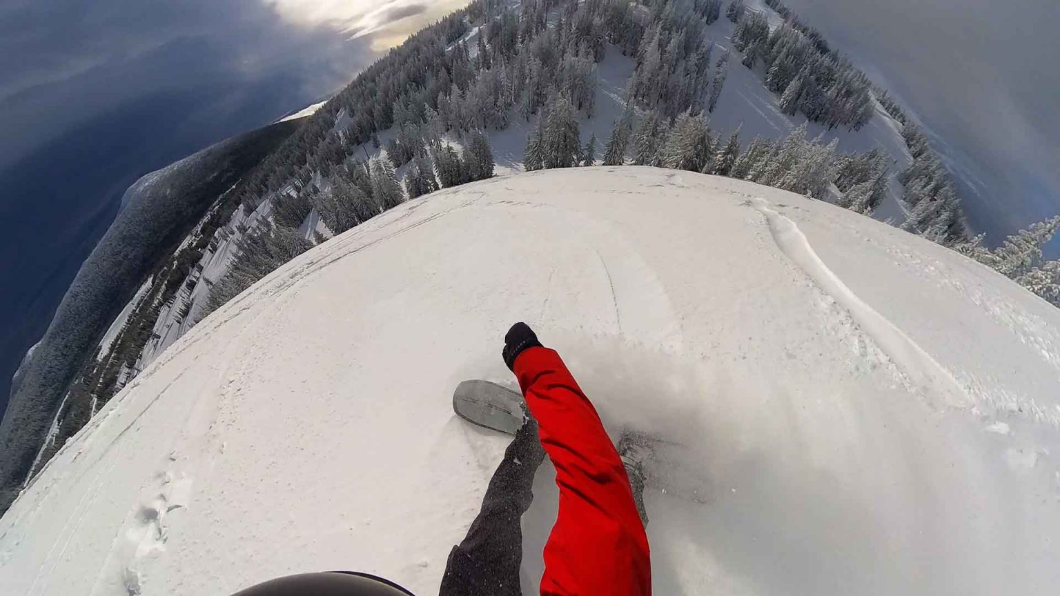 Salomon Assassin 2014-2025 Snowboard Review (with video)