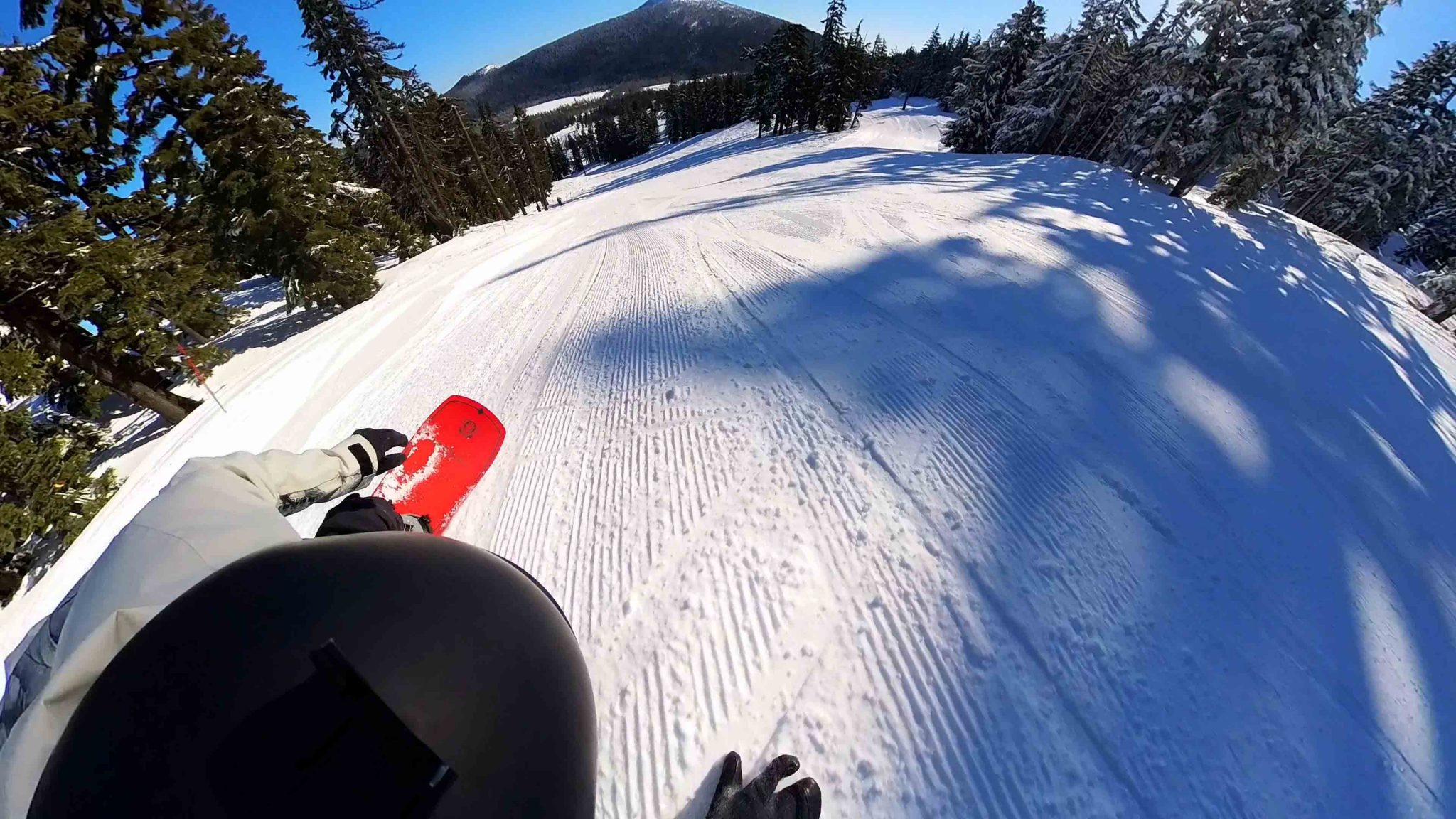 Soul Tree DX 2024-2025 Snowboard Review (with video)